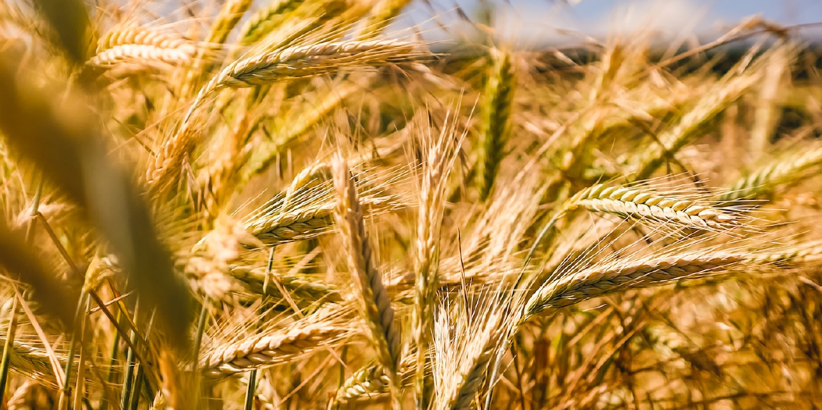 Sylinda - Synchrotron Light Industry Applications - Sylinda